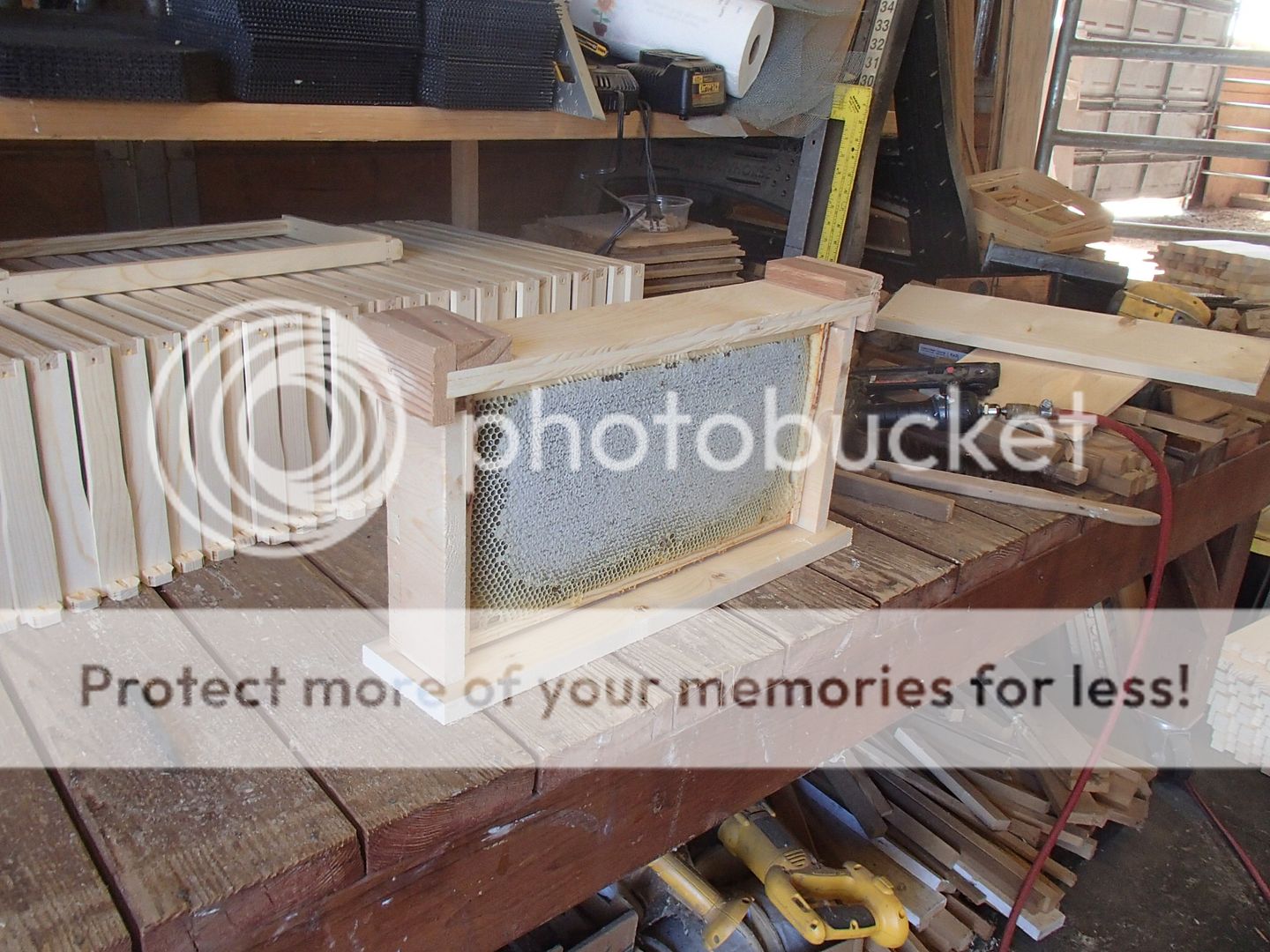 Photos of my partial sheet of foundation in deep frames -experiment | Beesource Beekeeping Forums